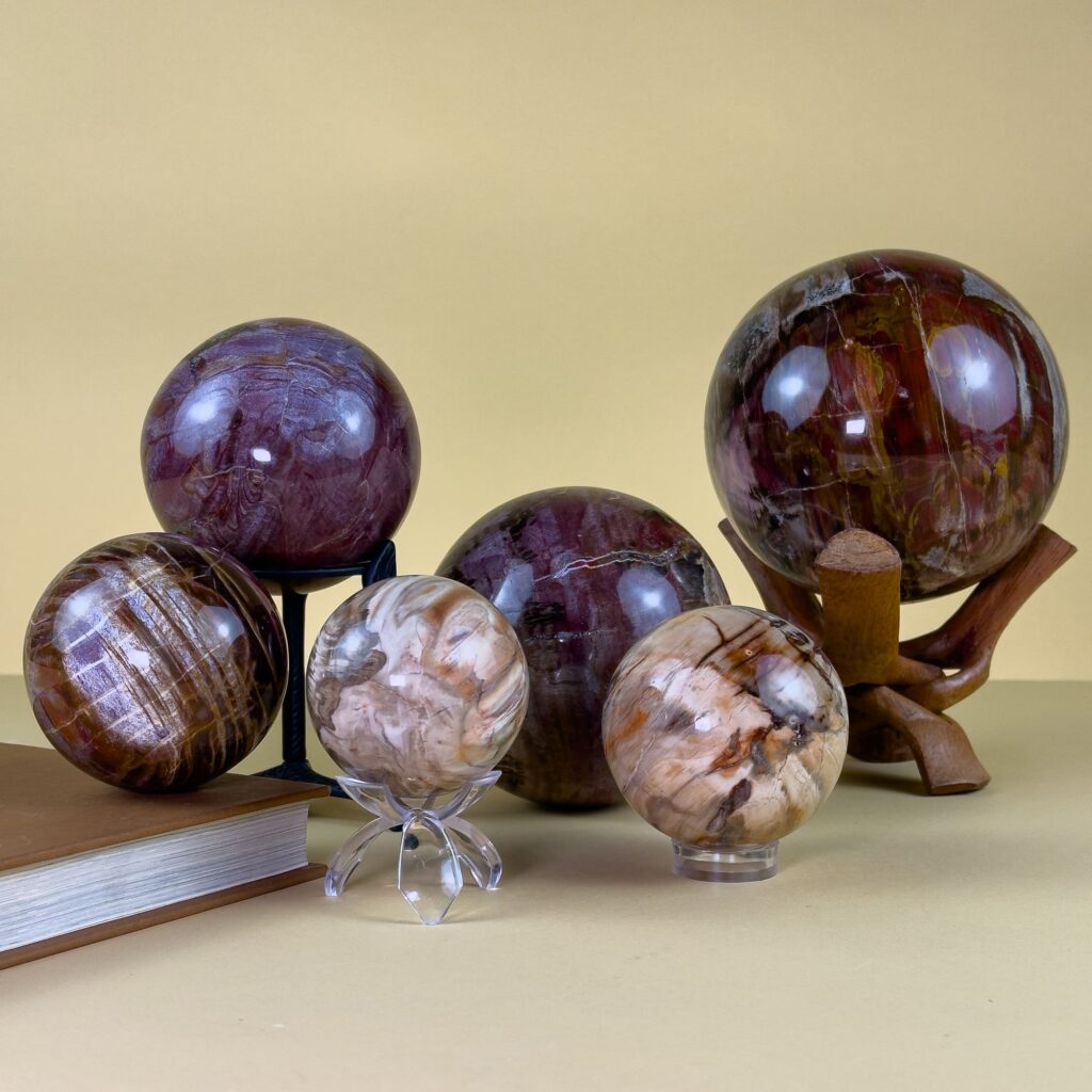 Petrified Fossil Wood Spheres – Ø 6-13 cm – Latiaxis